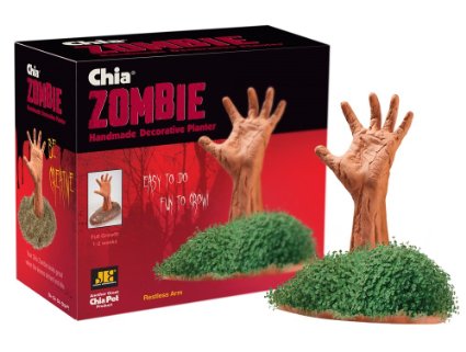 Chia Monster Zombie thoughts – Espiritu en Fuego/A Fiery Spirit